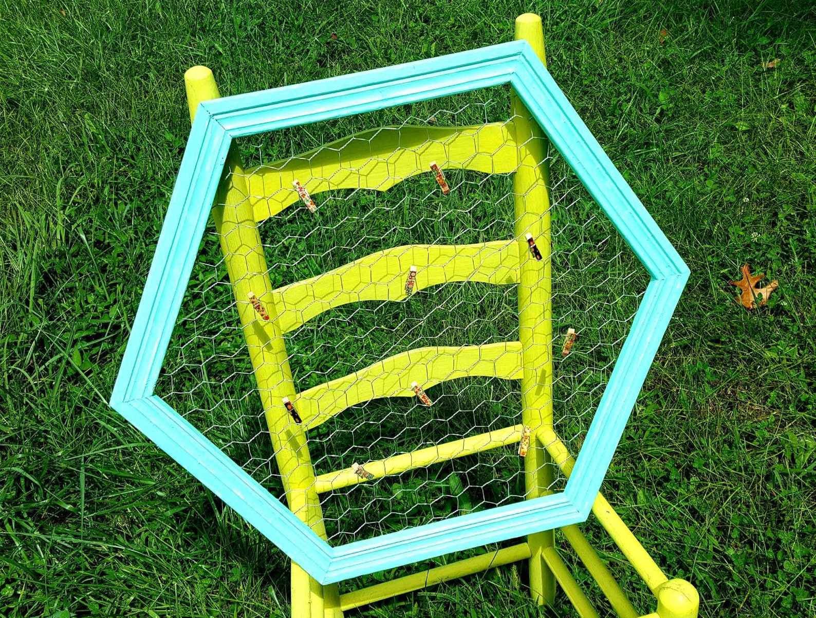 Hexagon Chicken Wire Frame Chicken Wire Photo Collage Frame - Etsy