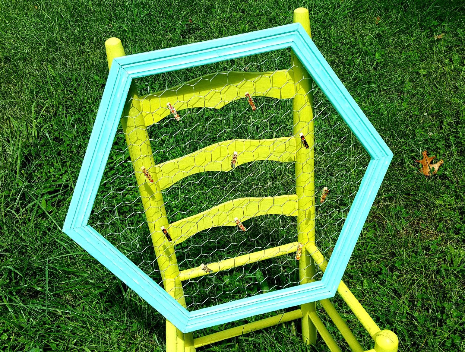 Hexagon chicken wire frame Chicken wire photo collage frame | Etsy