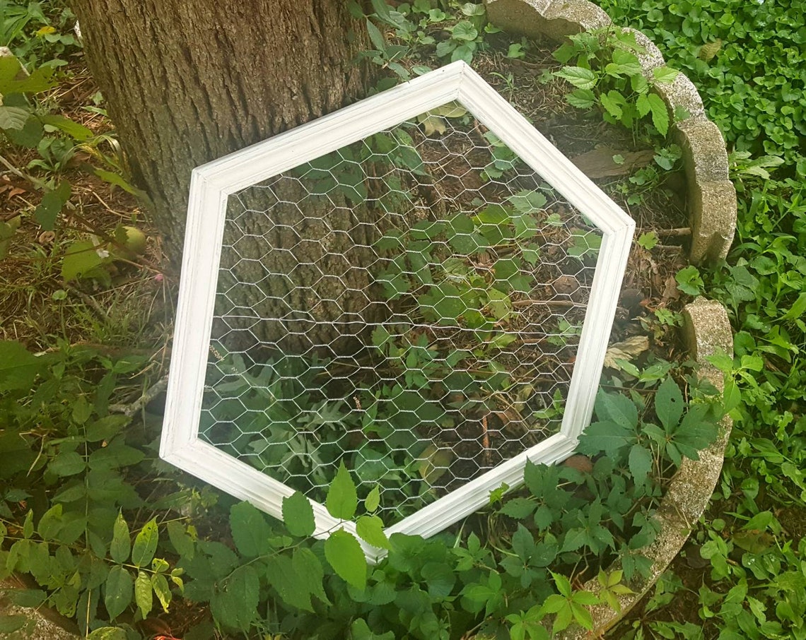 Hexagon chicken wire frame Chicken wire photo collage frame | Etsy