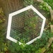 Hexagon Chicken Wire Frame, Chicken Wire Photo Collage Frame ...