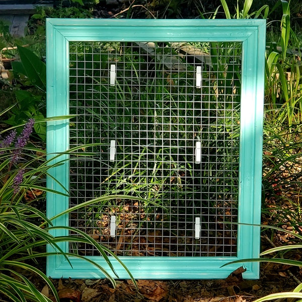 Chicken Wire Frame - Etsy