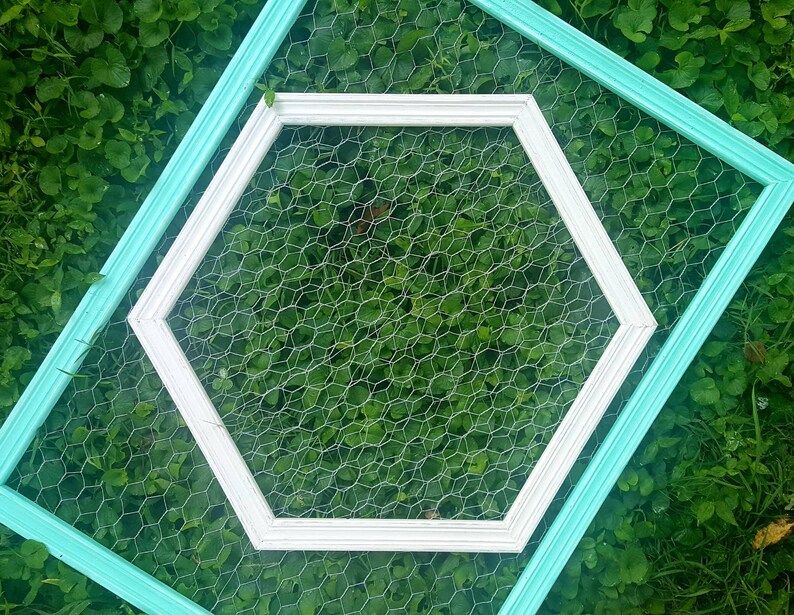 Hexagon Chicken Wire Frame Chicken Wire Photo Collage Frame - Etsy