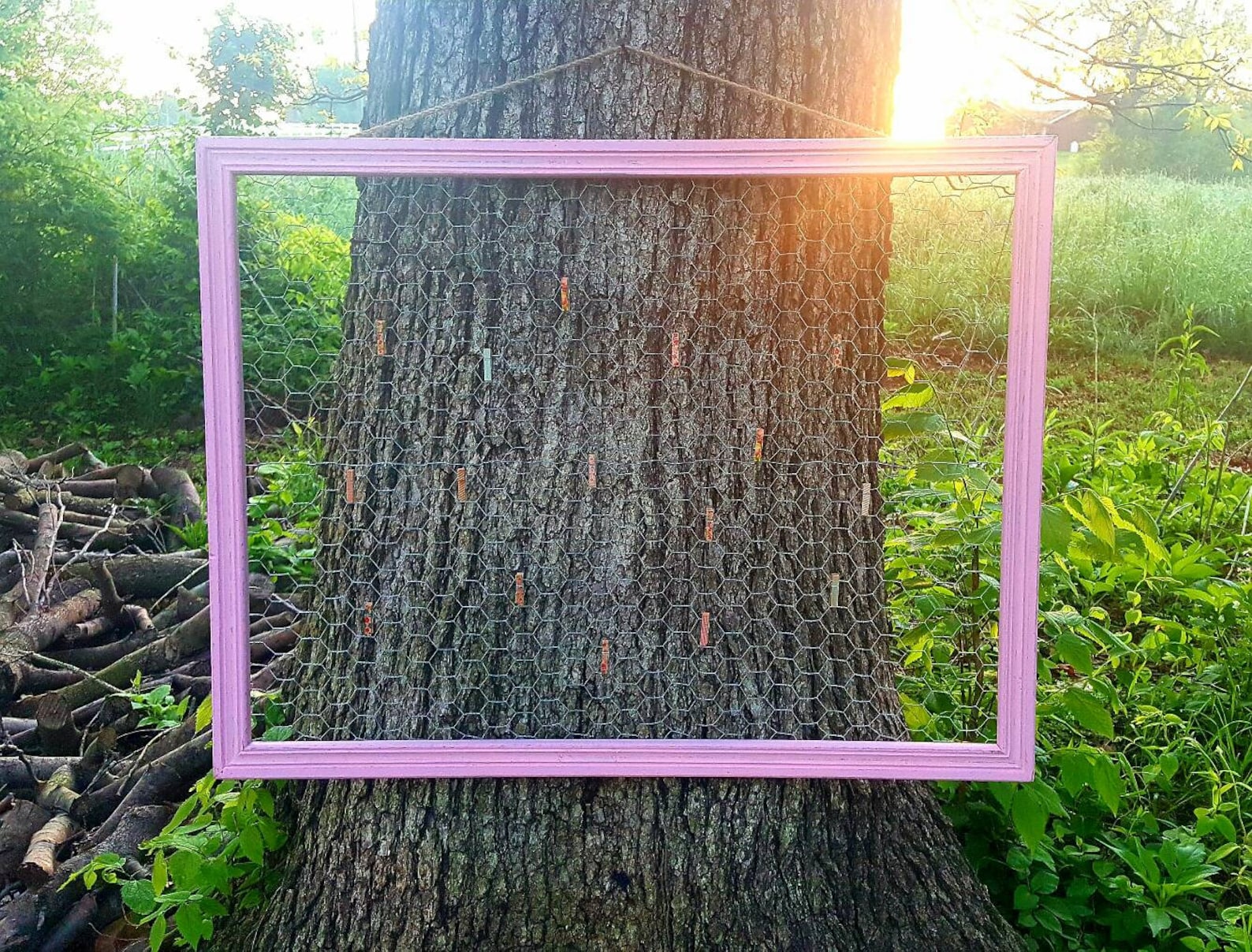 LARGE Chicken Wire Frame, Chicken Wire Decor, Large Chicken Wire Frame ...