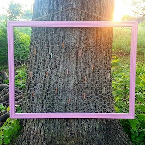 LARGE Chicken Wire Frame, Chicken Wire Decor, Large Chicken Wire Frame ...