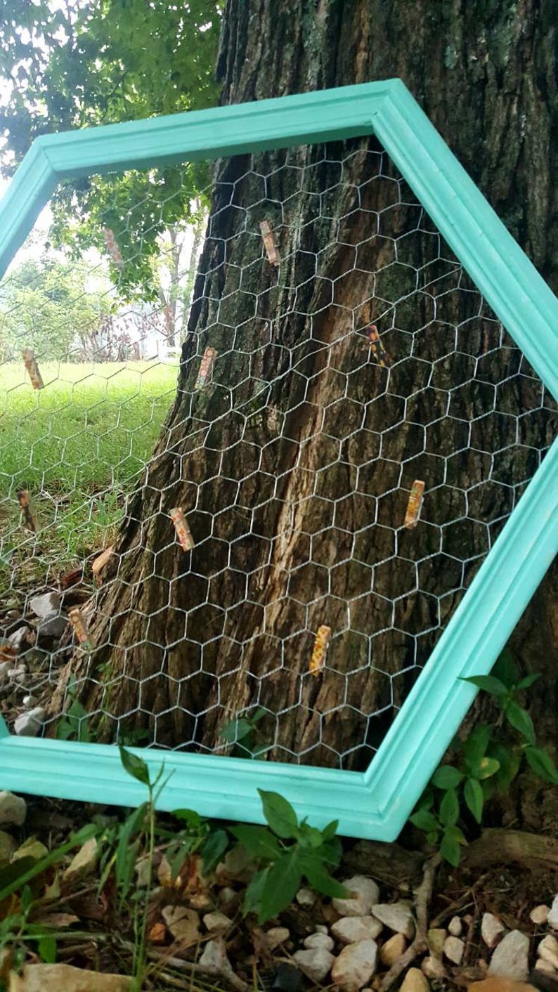 Hexagon Chicken Wire Frame Chicken Wire Photo Collage Frame - Etsy