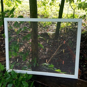 Farmhouse Chicken Wire Frames, Square Chicken Wire Frames, Large ...