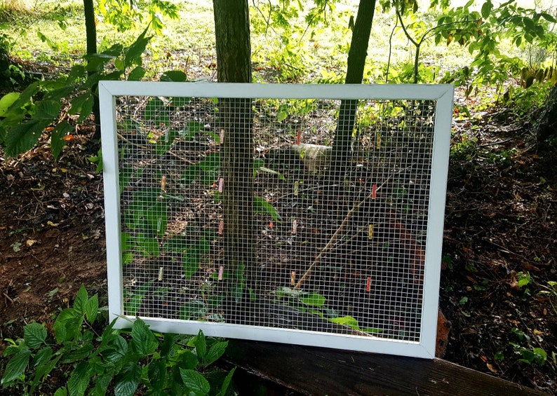 Farmhouse Chicken Wire Frames, Square Chicken Wire Frames, Large ...