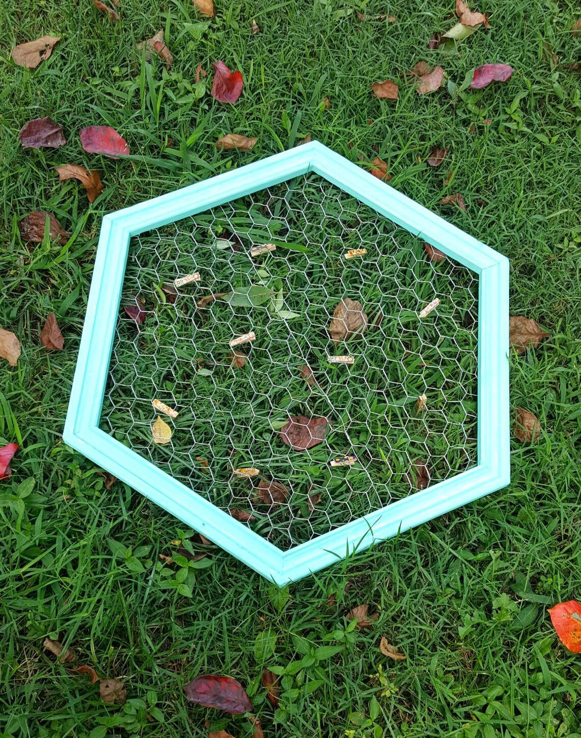 Hexagon chicken wire frame Chicken wire photo collage frame | Etsy