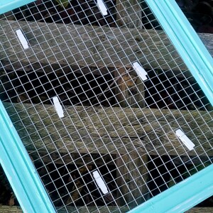 Chicken Wire Frame, 8x11 11x14 16x20 20x24 22x30, Farmhouse Chicken ...