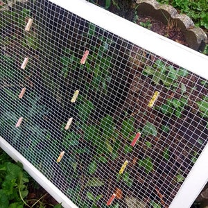 Farmhouse Chicken Wire Frames, Square Chicken Wire Frames, Large ...