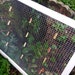 Farmhouse Chicken Wire Frames, Square Chicken Wire Frames, Large ...