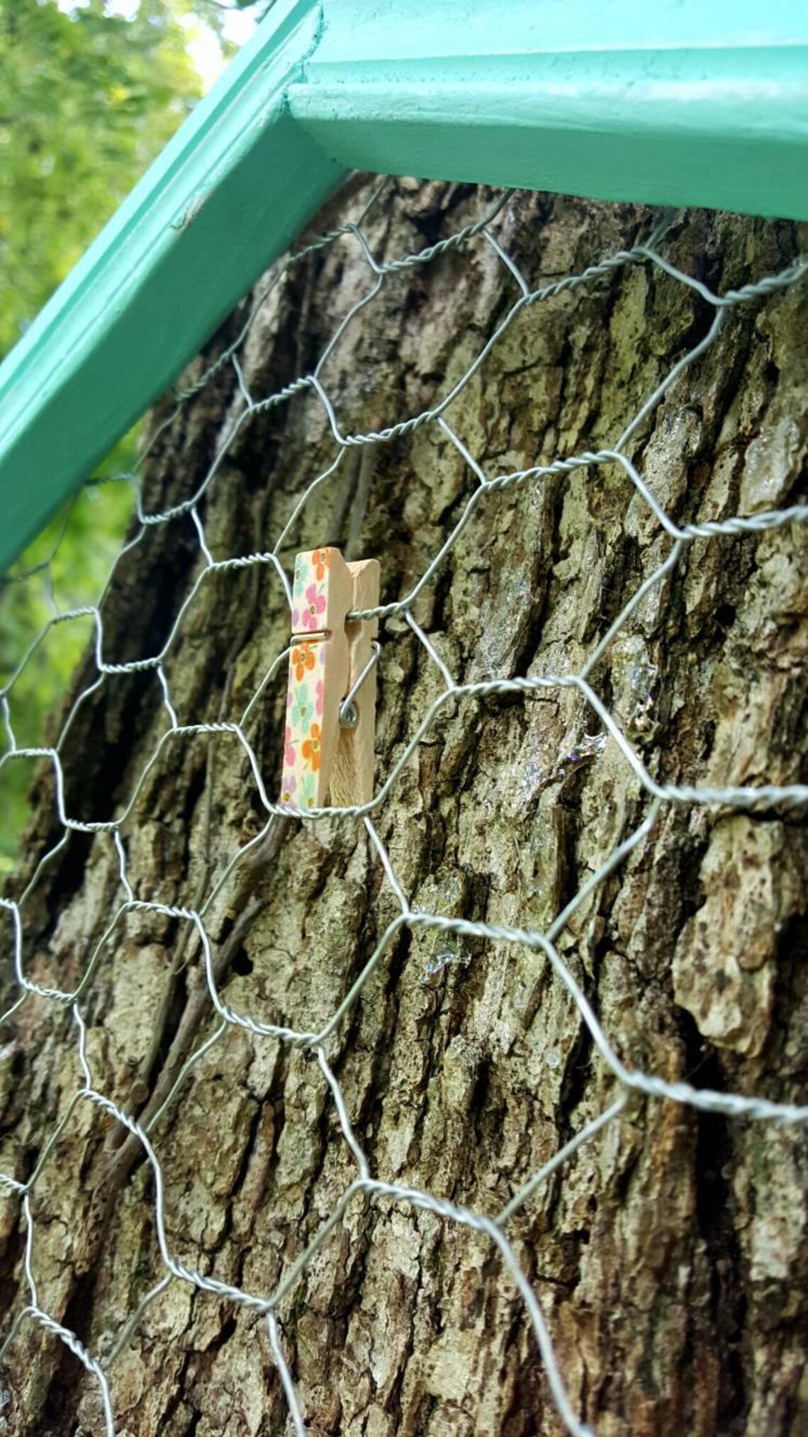 Hexagon chicken wire frame Chicken wire photo collage frame | Etsy