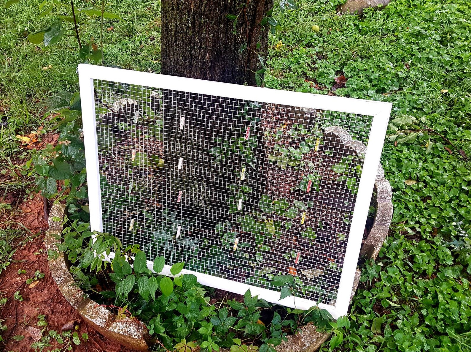 Farmhouse Chicken Wire Frames, Square Chicken Wire Frames, Large ...
