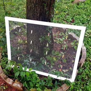 Farmhouse Chicken Wire Frames, Square Chicken Wire Frames, Large ...