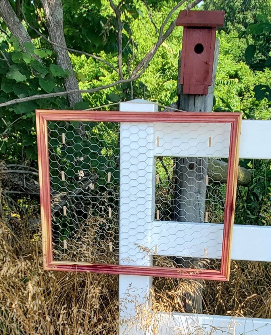 Cedar Chicken Wire Frames, Farmhouse Chicken Wire Frame, Aromatic Cedar ...