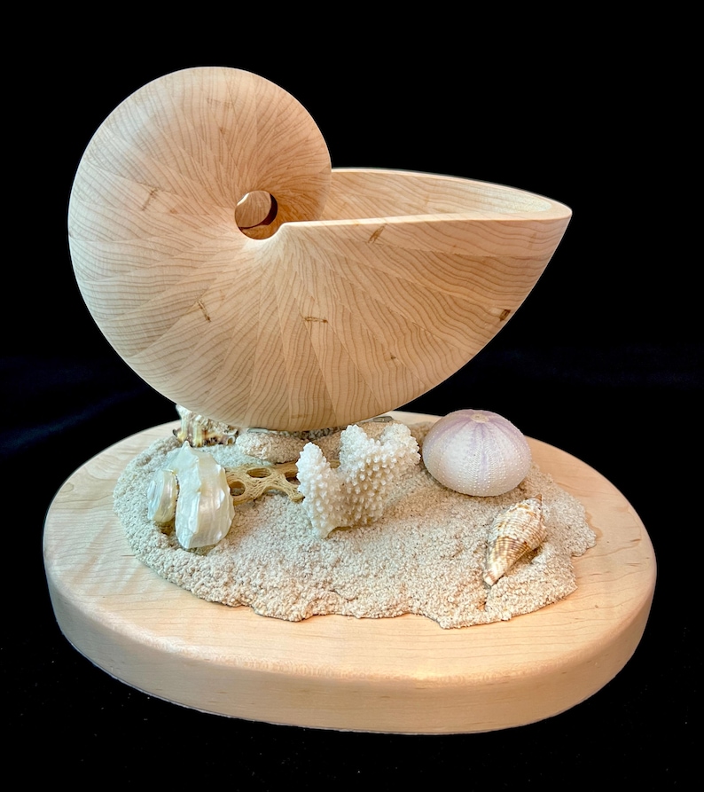 Nautilus Segmented Wood Shell & Sea Floor Base - Etsy