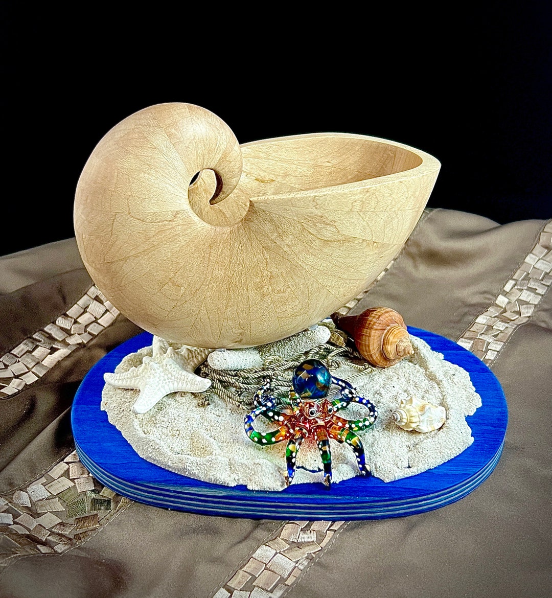 Nautilus Segmented Wood Shell & Sea Floor Base - Etsy
