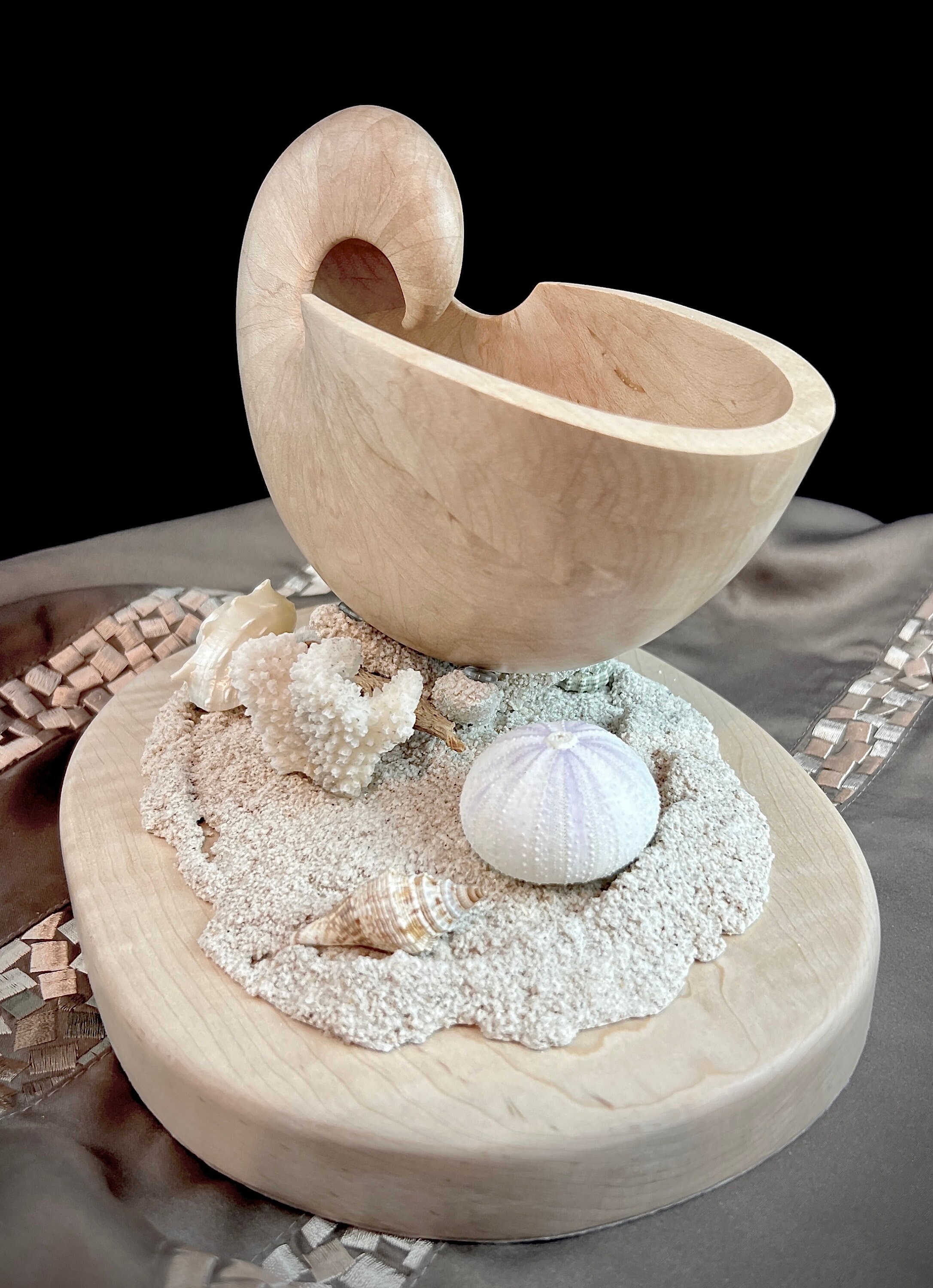 Nautilus Segmented Wood Shell & Sea Floor Base - Etsy