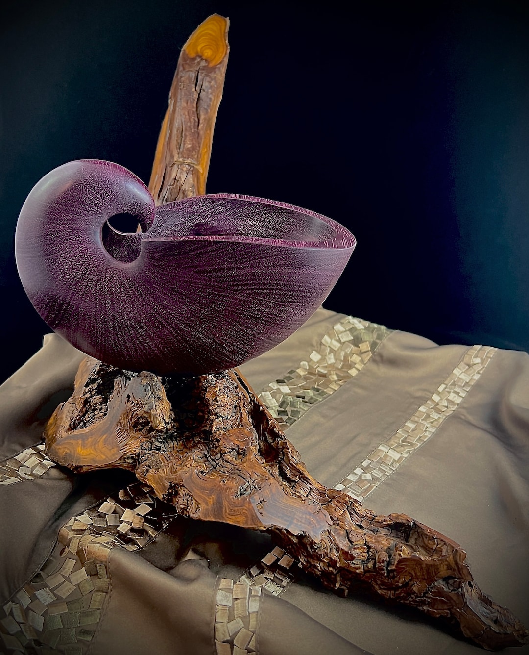 Nautilus Segmented Wood Shell & Cedar Root Stand - Etsy