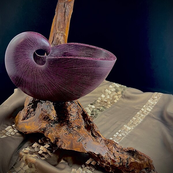 Nautilus Shell Stand - Etsy