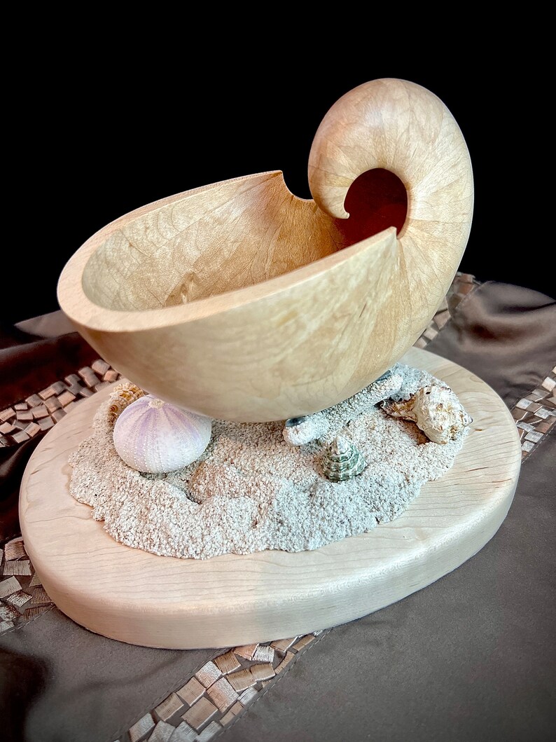 Nautilus Segmented Wood Shell & Sea Floor Base - Etsy