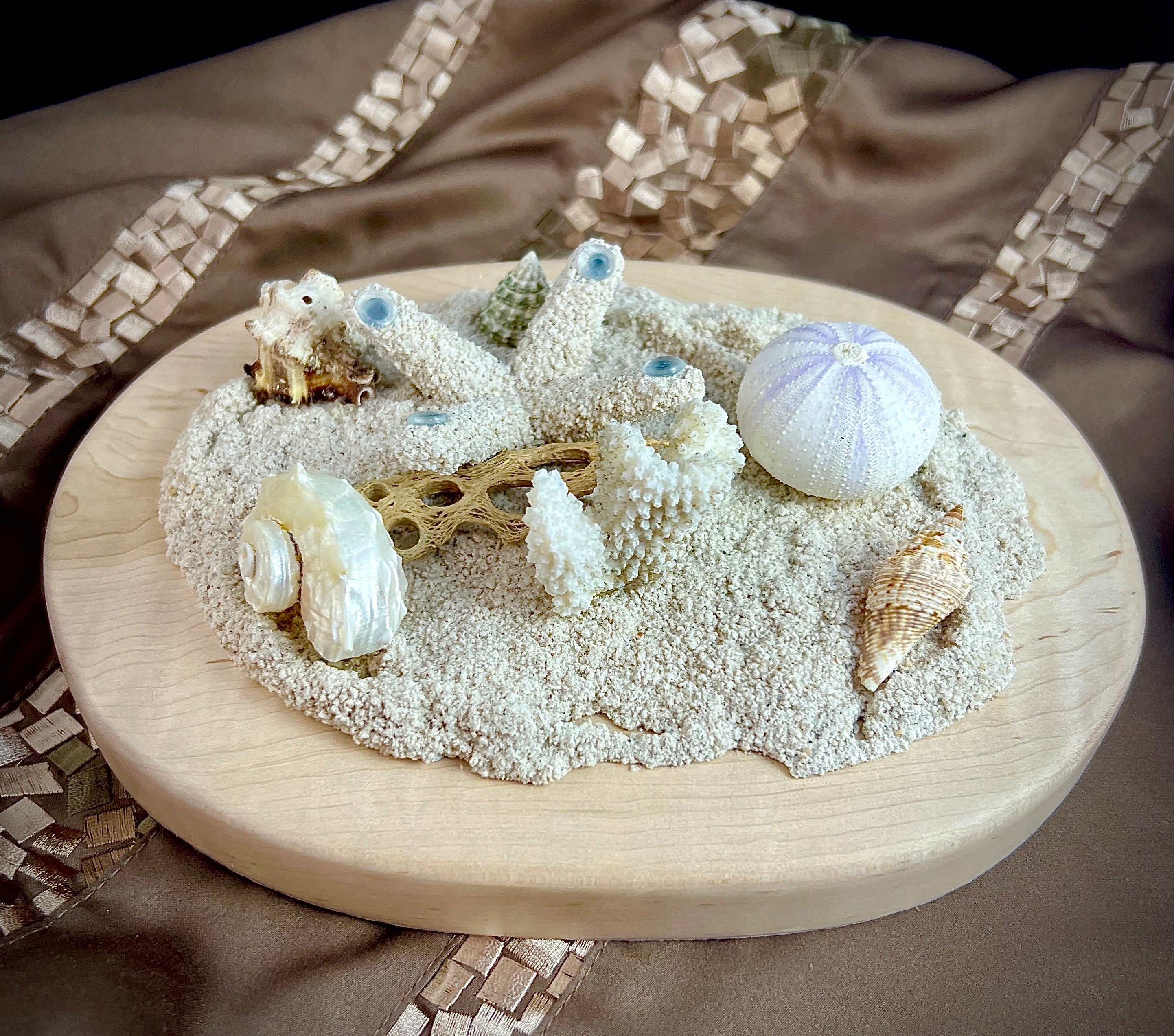Nautilus Segmented Wood Shell & Sea Floor Base - Etsy