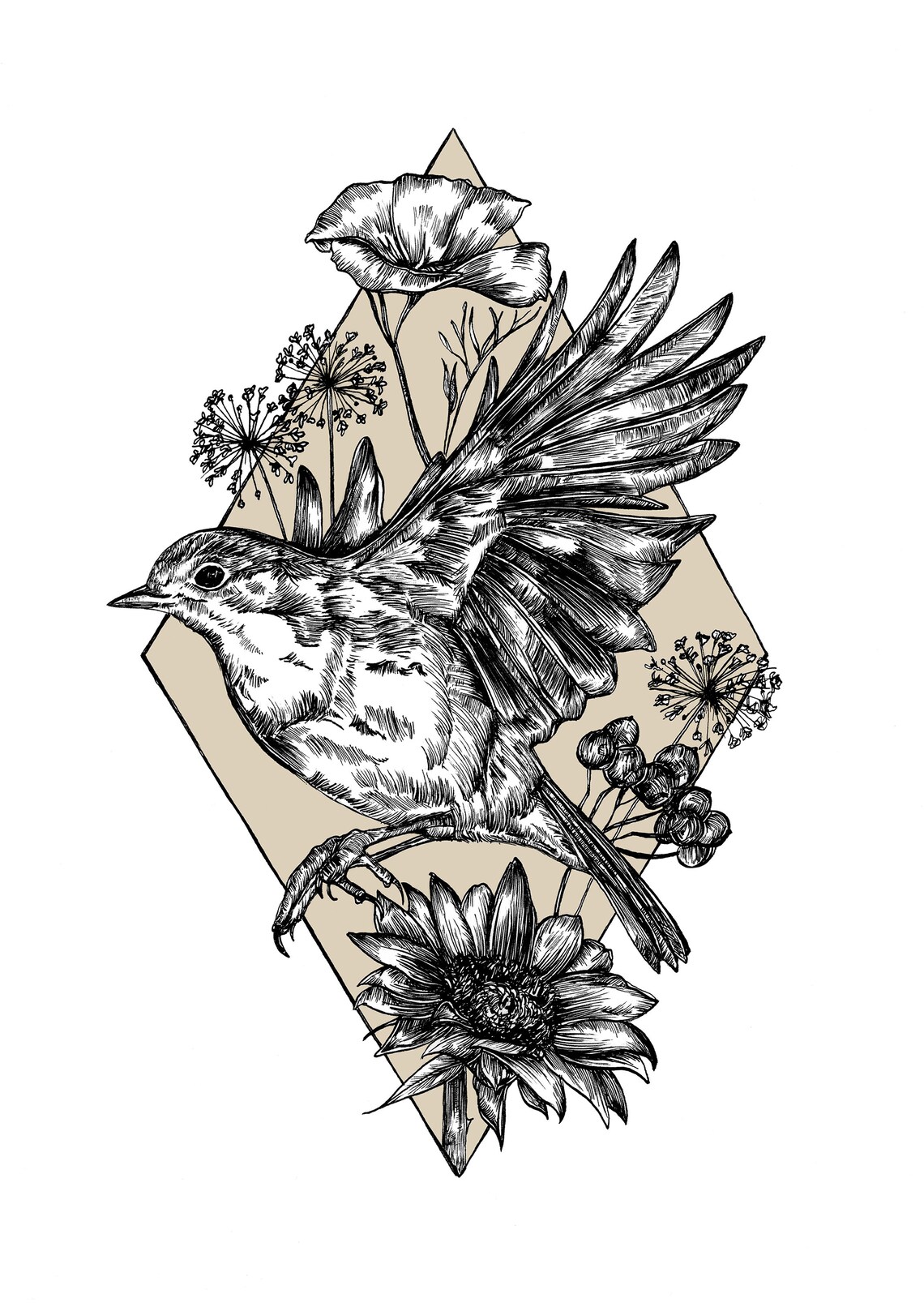 Robin Design Robin Illustration Print Hand Drawn Pen and Ink ...