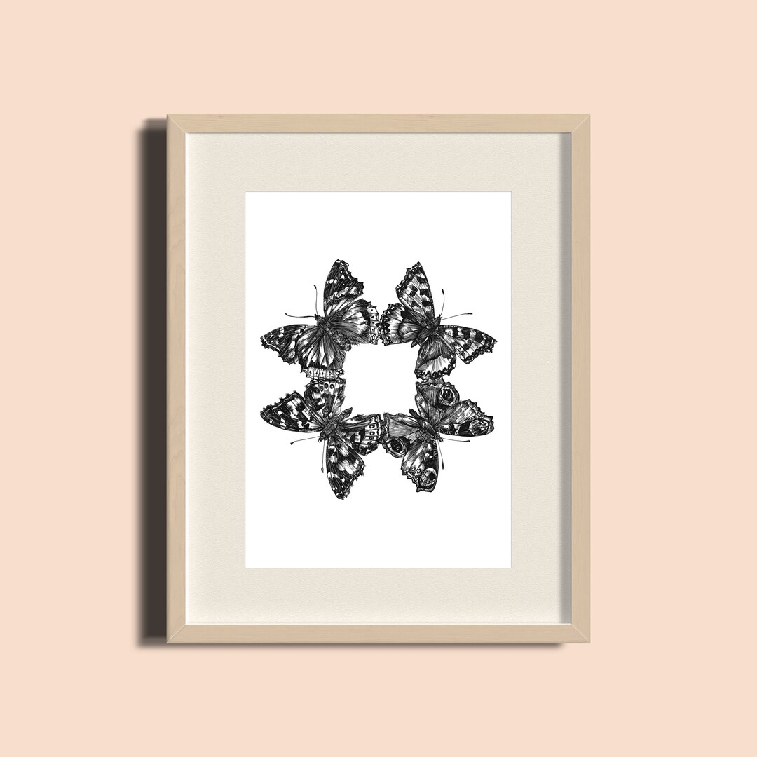 Butterfly Print: Symmetry Pen and Ink Illustration, Black & White Wall ...