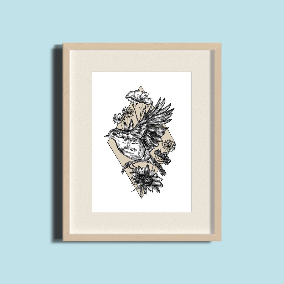 Robin Design | Robin Illustration | Print | Hand Drawn | Pen and Ink ...