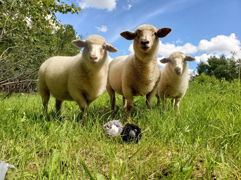 Crochet sheep Stuffed toy sheep | Etsy