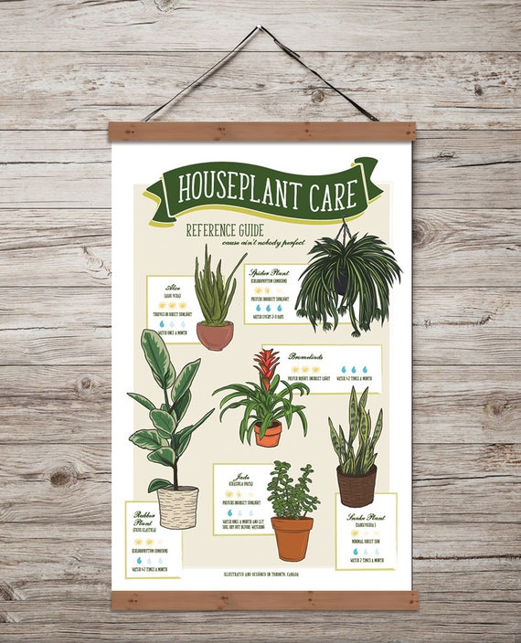 HOUSEPLANT CARE REFERENCE Poster for Plant Moms and Dads - Etsy