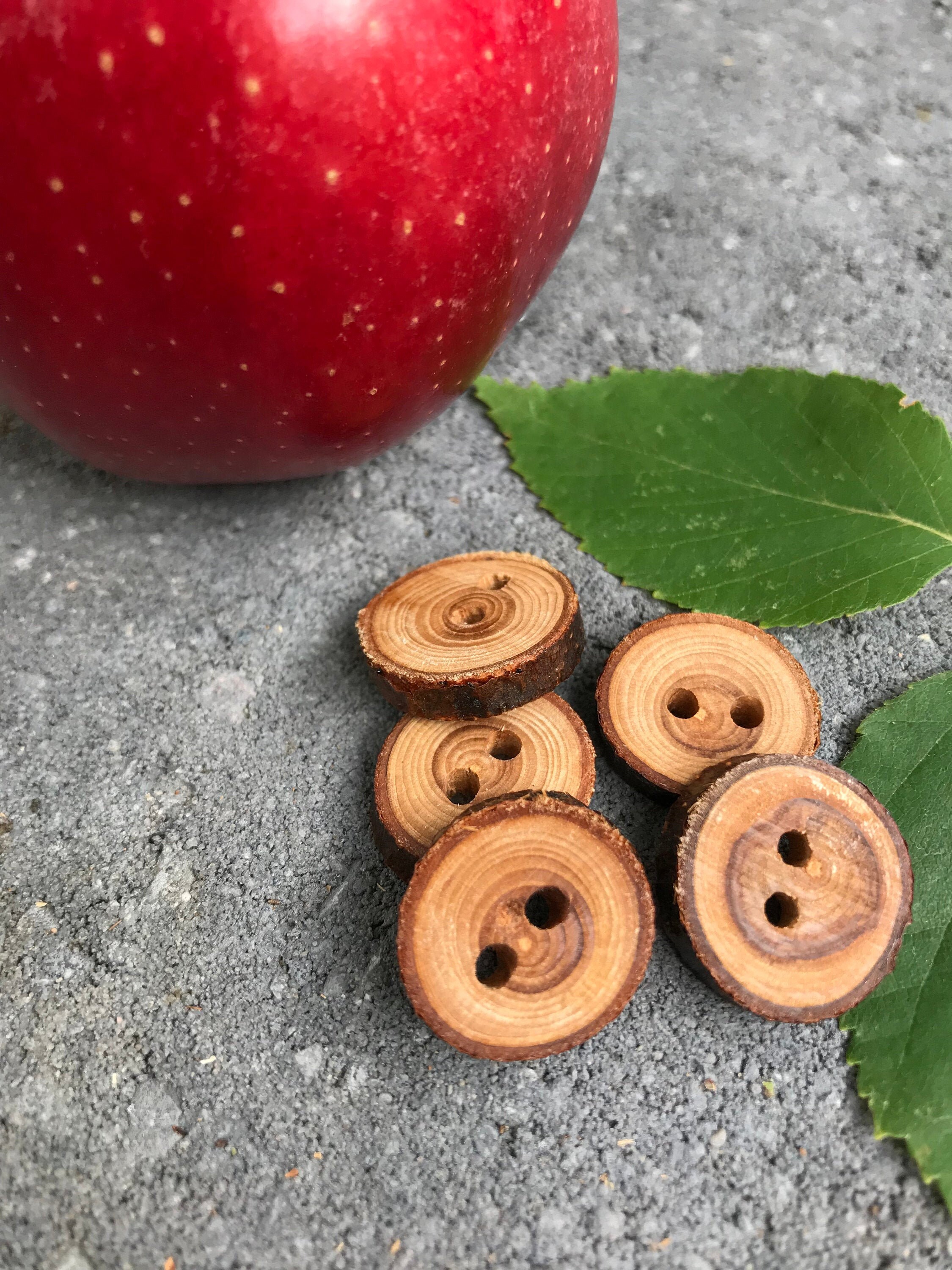 3/4 3/4 Inch Tree Branch Wood Buttons 8-pack - Etsy