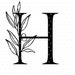Letter L Svg Cutfile, Alphabet Initial Monogram With Olive Branch ...