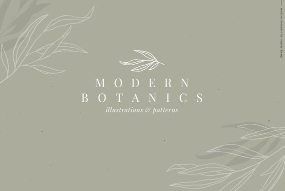 Modern Botanics Collection of Illustrations & Seamless | Etsy