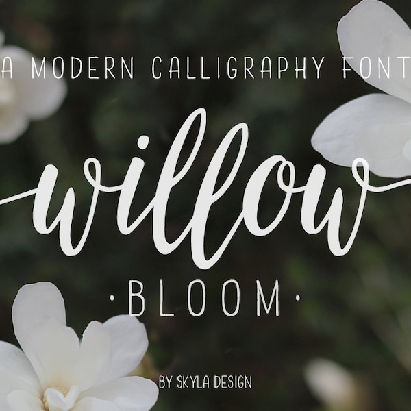 Willow Cursive Font - Etsy Australia