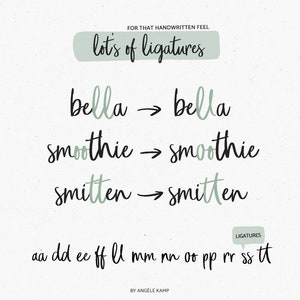 Oh Livey Casual Brush Script - Etsy