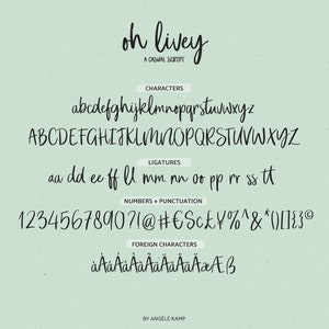Oh Livey Casual Brush Script - Etsy