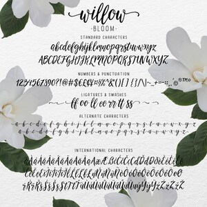 Willow Bloom Modern Calligraphy Font - Etsy