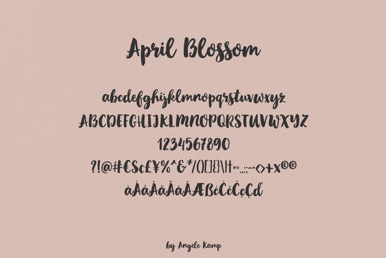 April Blossom Bold Brush Font - Etsy
