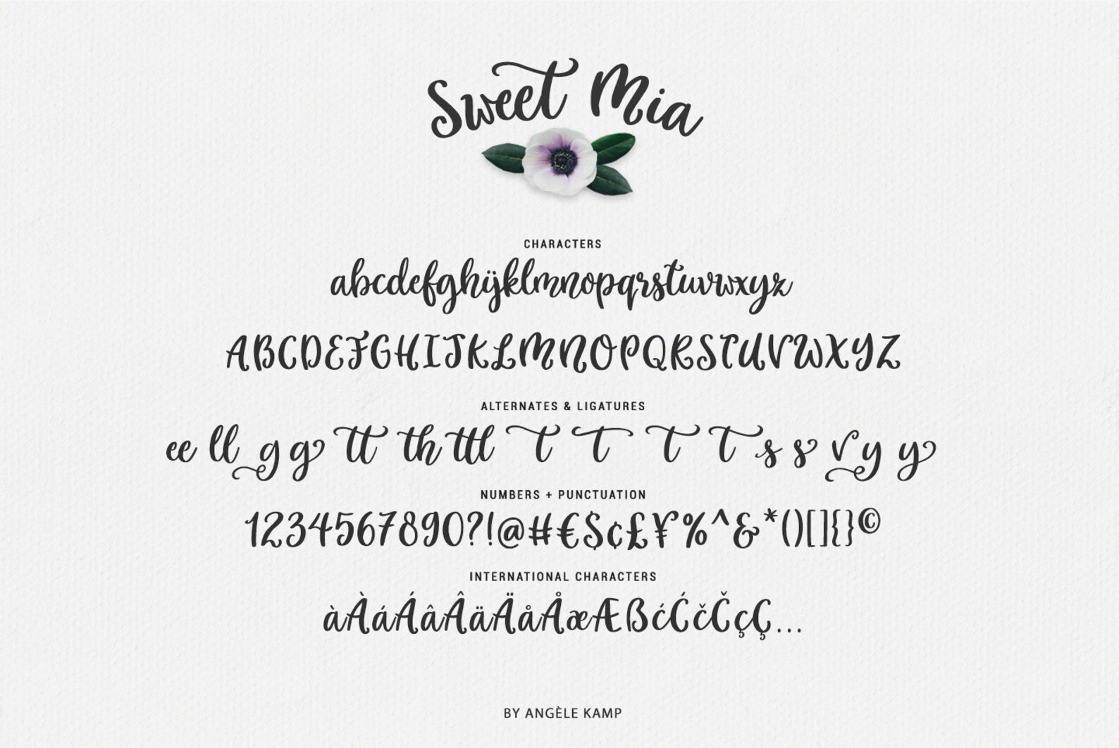 Sweet Mia Modern Calligraphy Font - Etsy