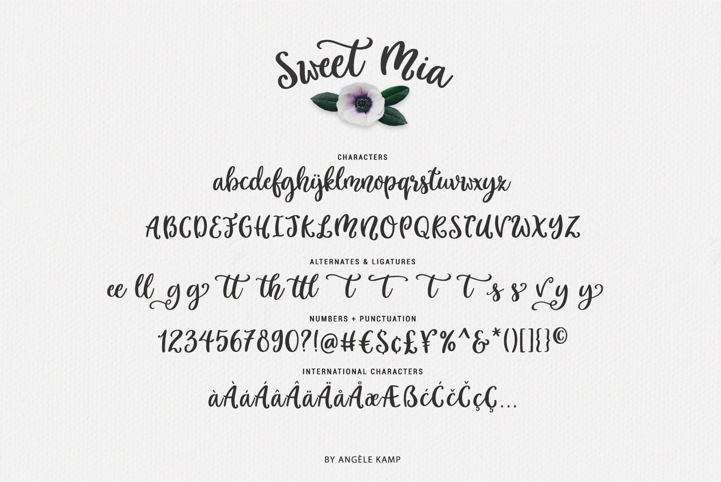 Sweet Mia Modern Calligraphy Font - Etsy