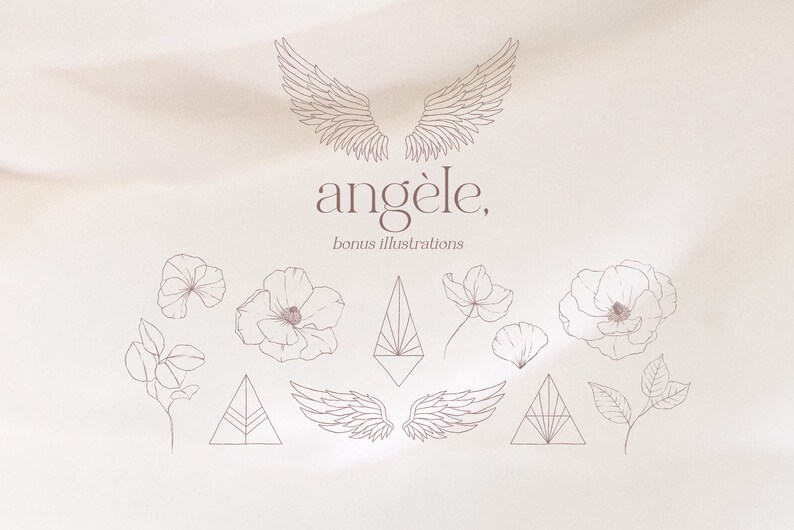 Angele, an Elegant Serif Font Family & Art - Etsy