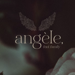 Angele, an Elegant Serif Font Family & Art - Etsy