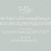 Tilly Lovely Font & Bonus Clipart - Etsy