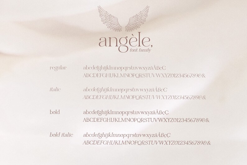 Angele, an Elegant Serif Font Family & Art - Etsy
