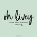 Willow Bloom Modern Calligraphy Font - Etsy