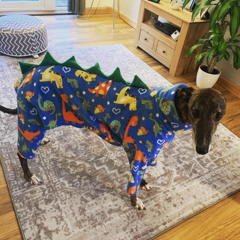 Onesie for Greyhounds - Etsy