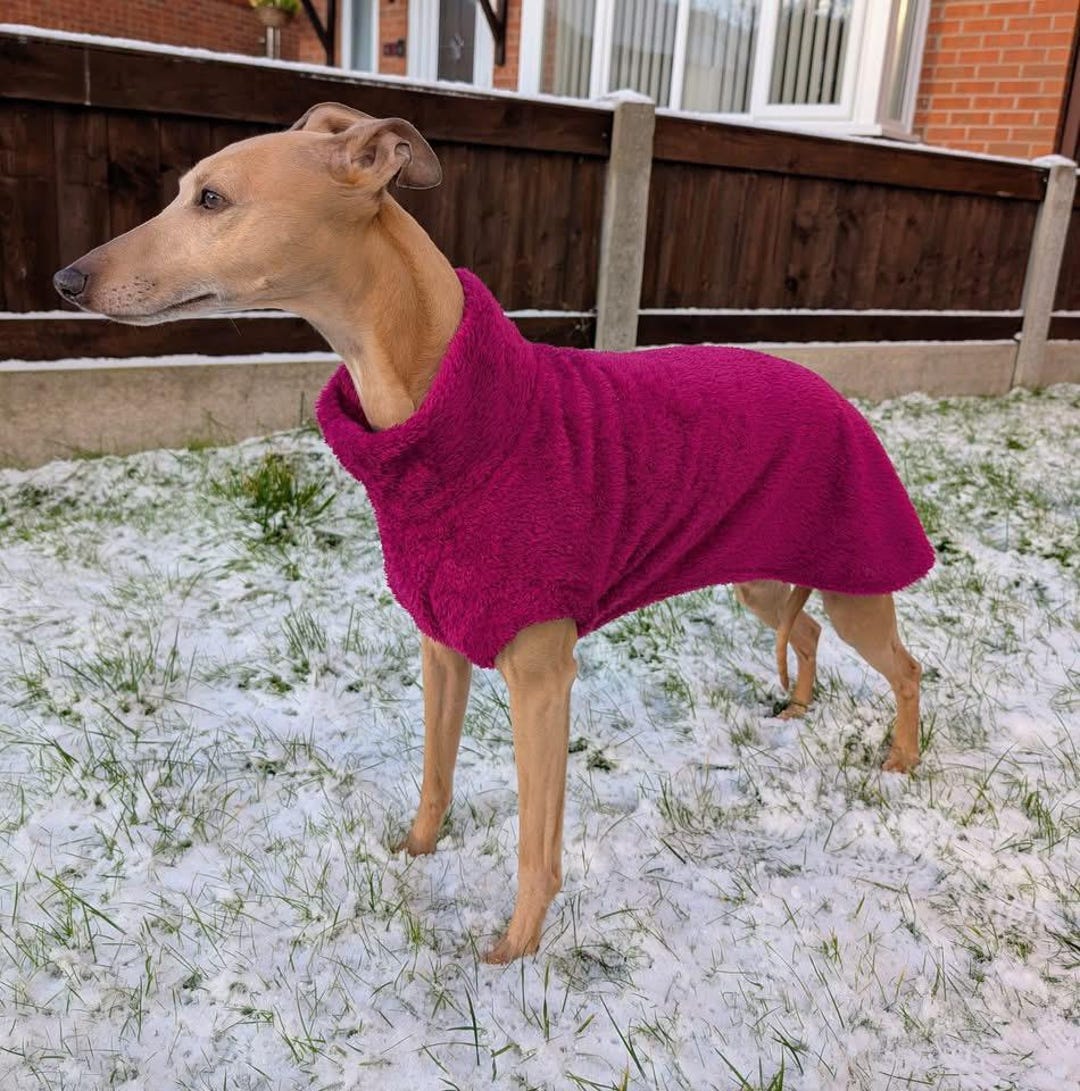NEW Dog Jumper in the Super Soft Cuddle Fleece Italian, Whippet ...