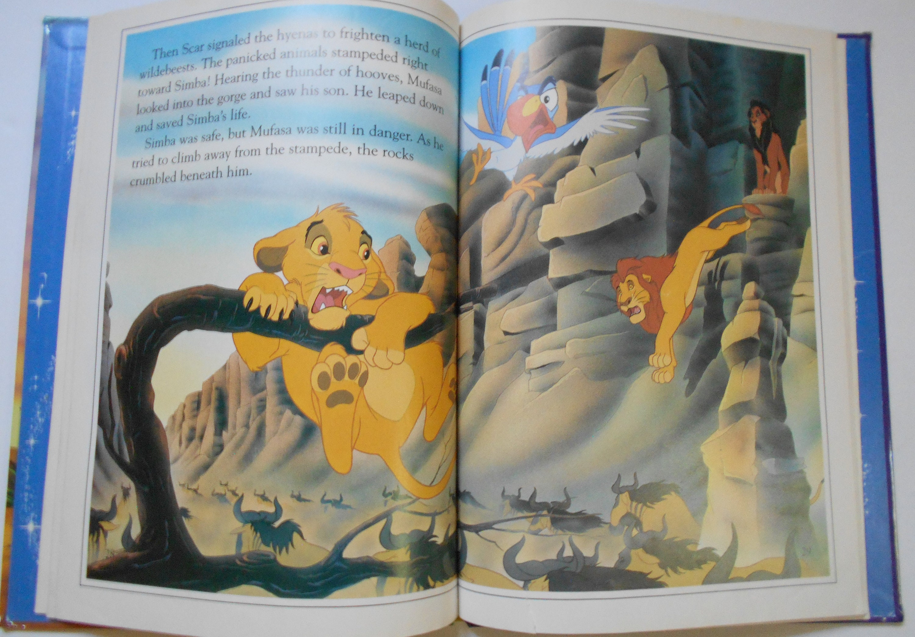 Disney's the Lion King Read Aloud Storybook - Hardback - Etsy