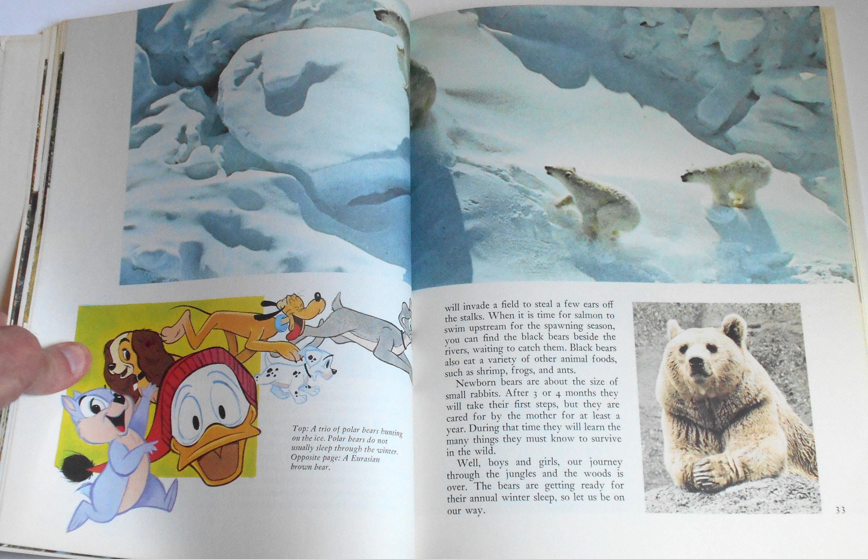 Disney's Wonderful World of Knowledge: Animals * A Child's Hardback Encyclopedia Book 1973 - Etsy